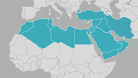 Middle East and North African Languages Program - Northwestern University